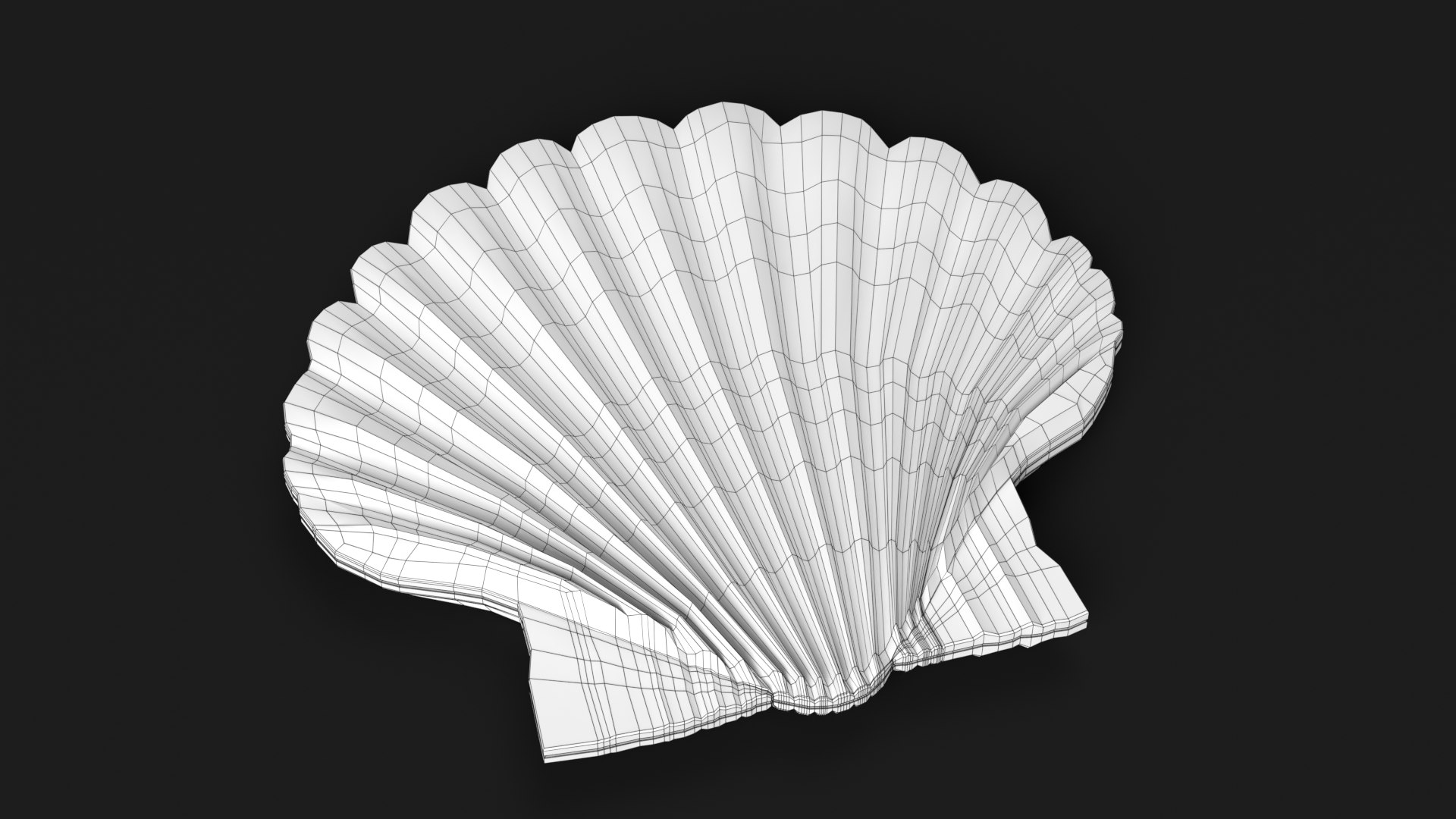 3D Seashell Shell Sea - TurboSquid 1665745