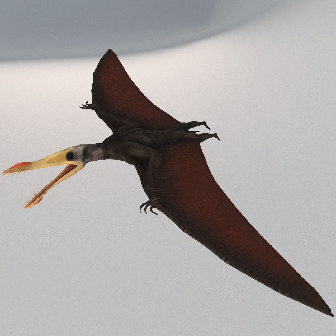 3d model pterosaur static poses