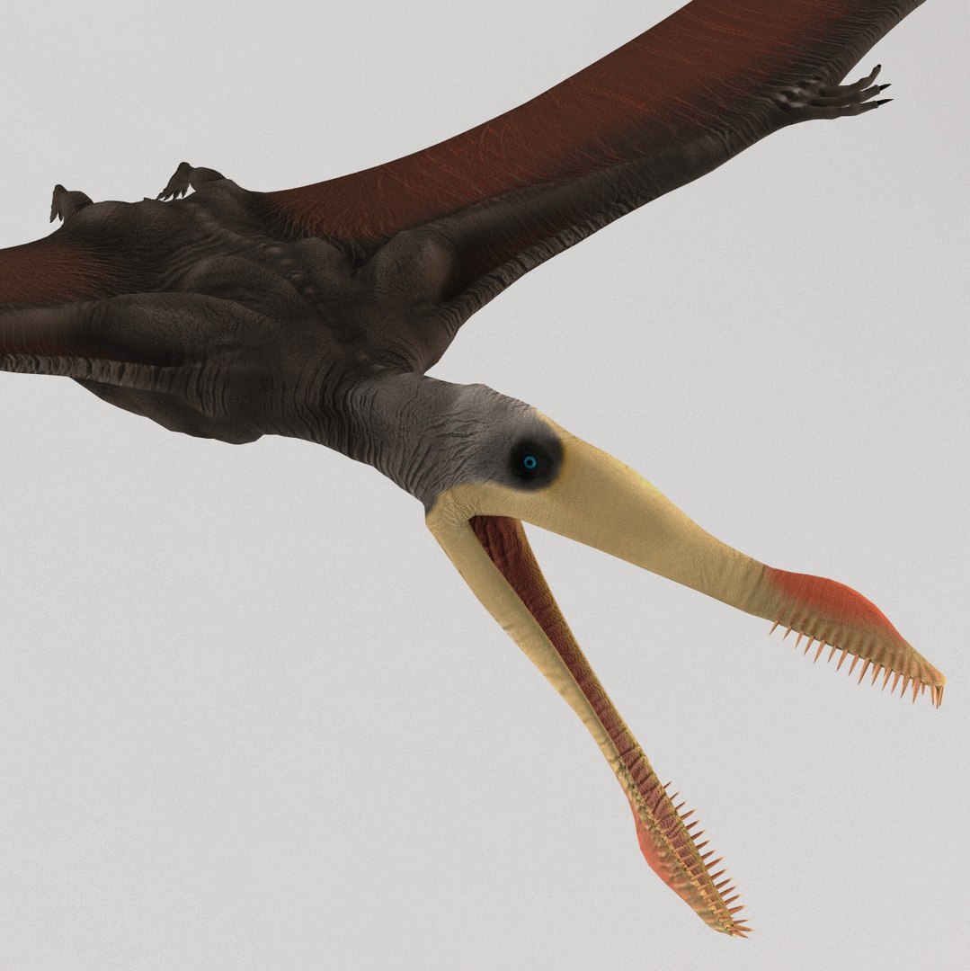 3d model pterosaur static poses