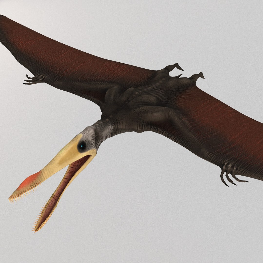 3d model pterosaur static poses