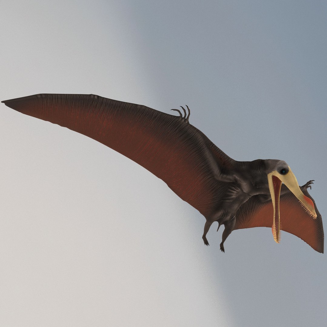 3d model pterosaur static poses