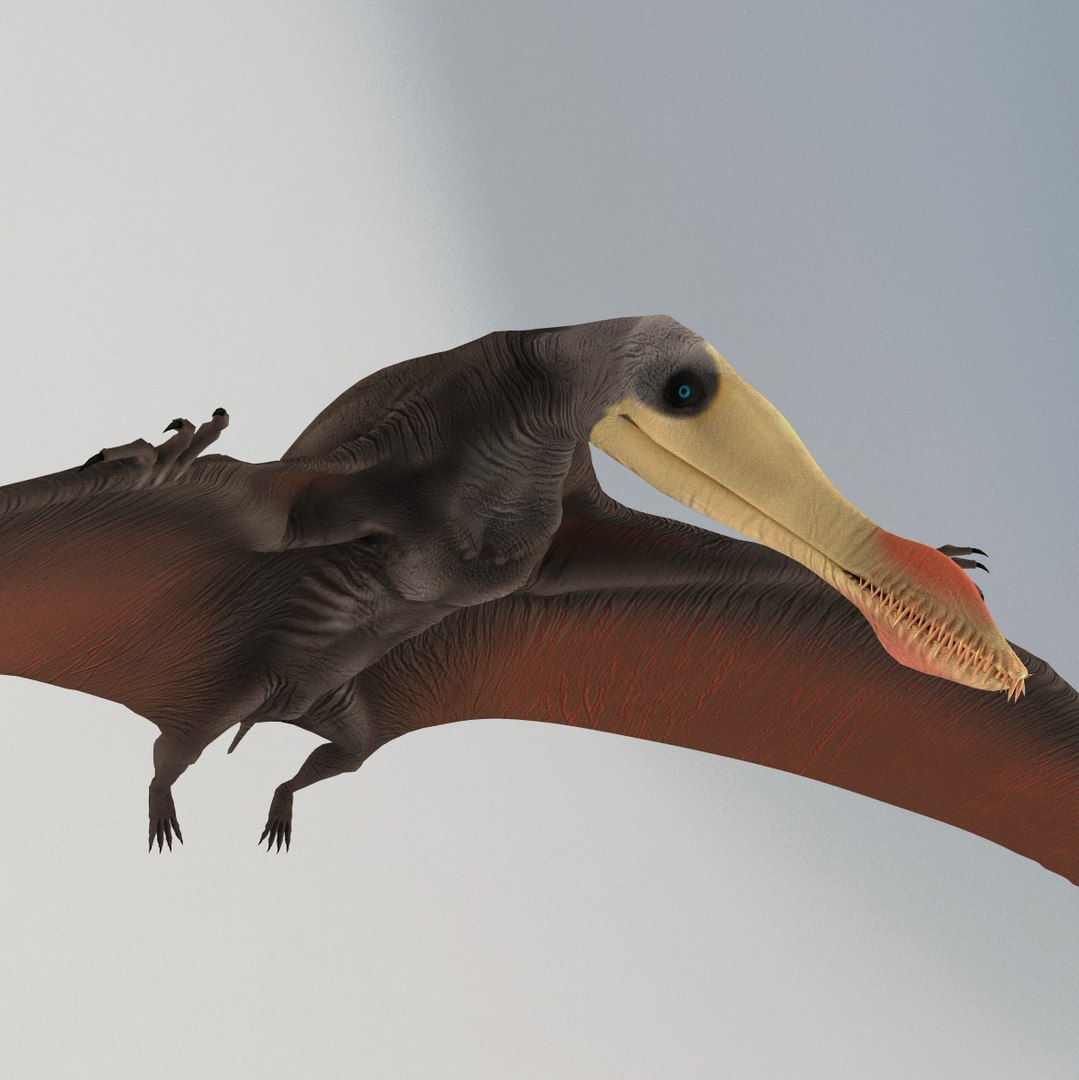 3d model pterosaur static poses