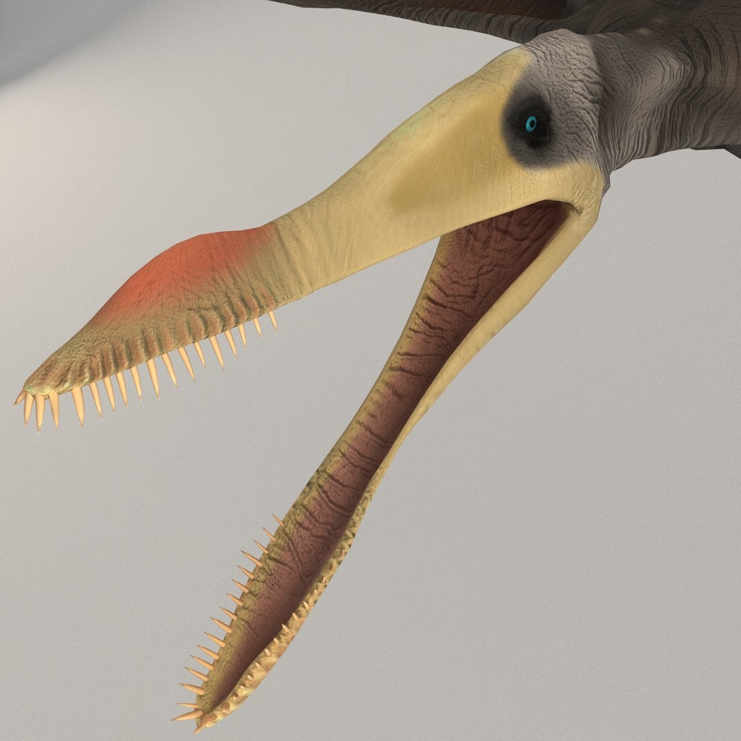 3d model pterosaur static poses