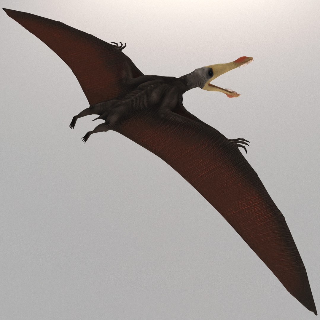 3d model pterosaur static poses