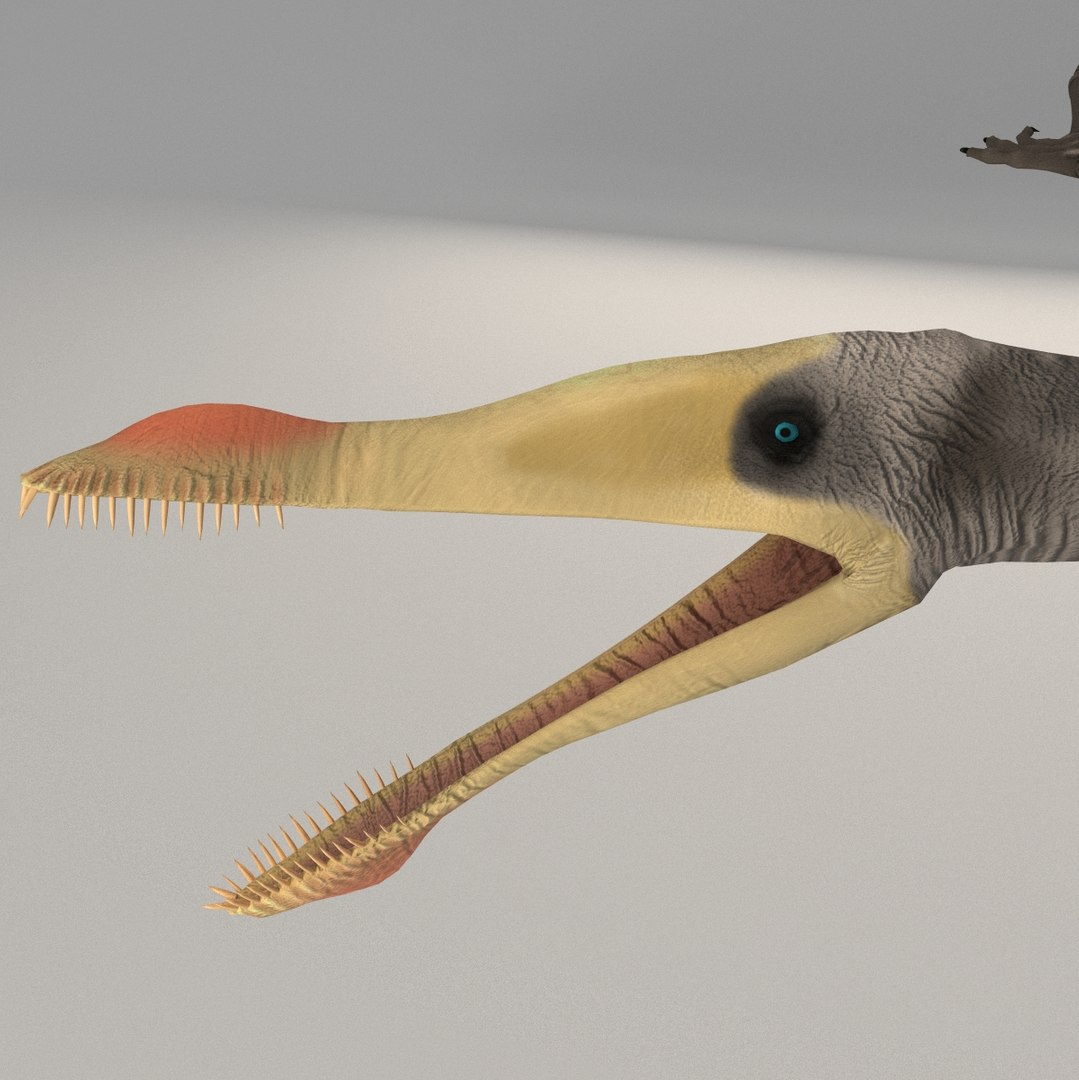 3d model pterosaur static poses