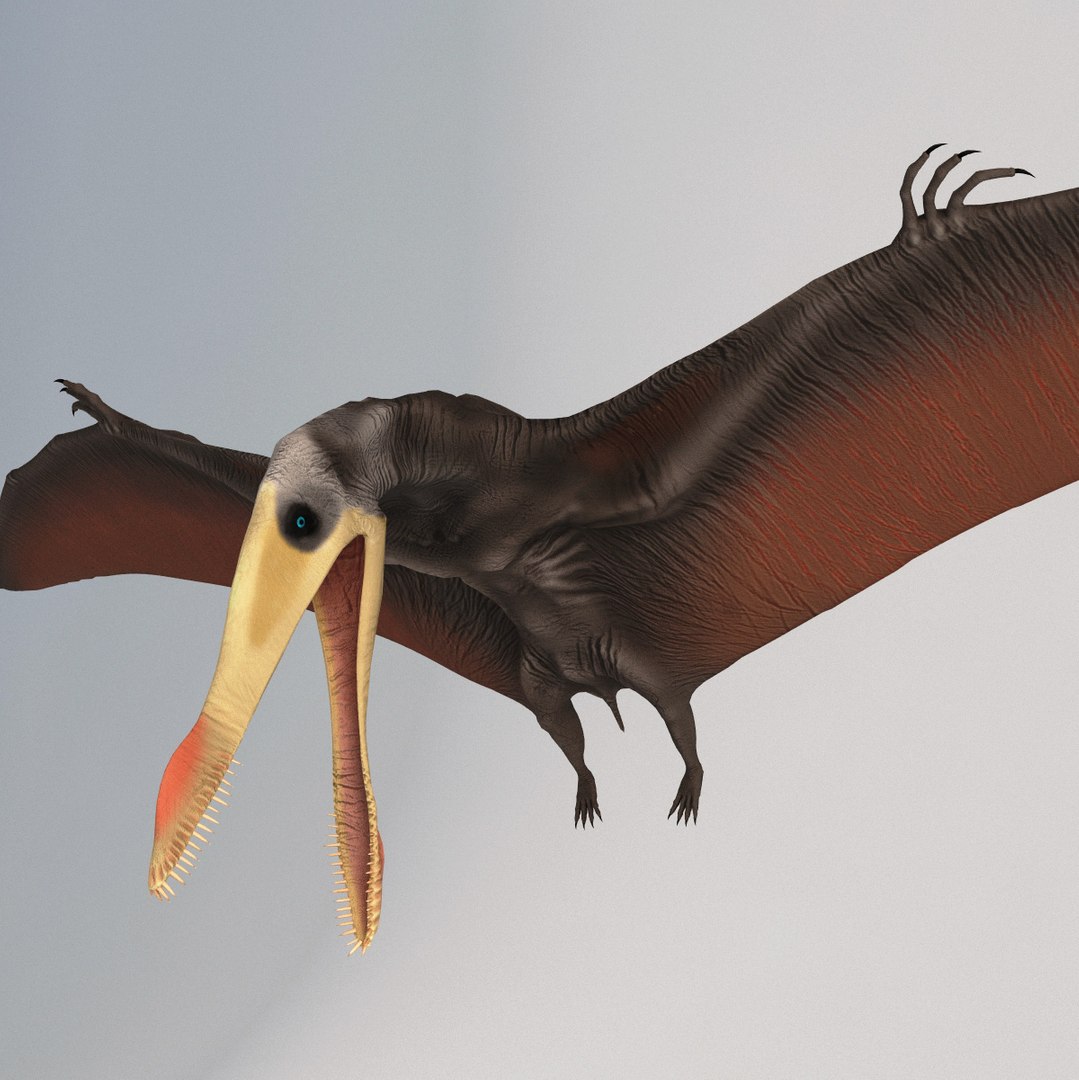 3d model pterosaur static poses