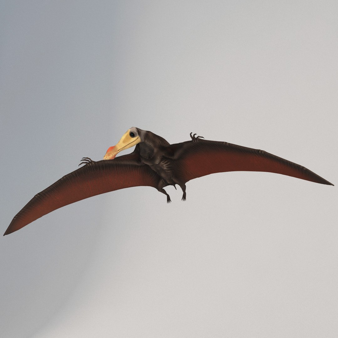 3d model pterosaur static poses