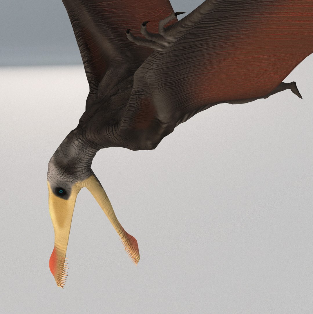 3d model pterosaur static poses