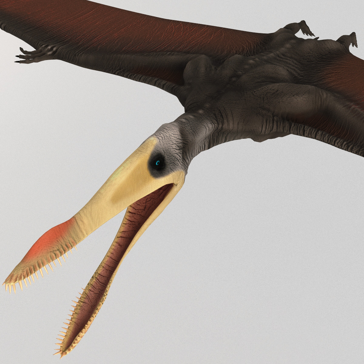 3d model pterosaur static poses