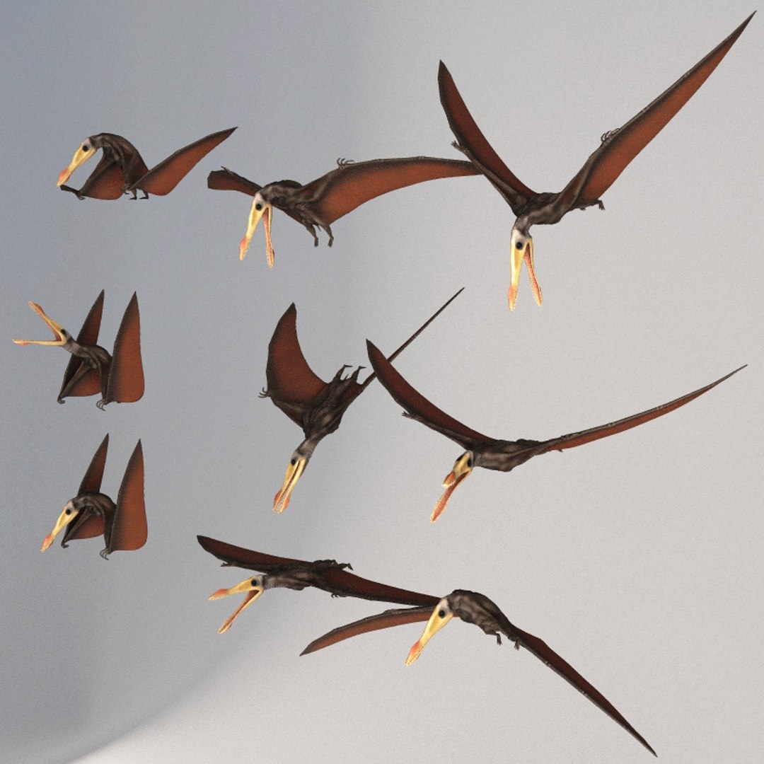 3d model pterosaur static poses