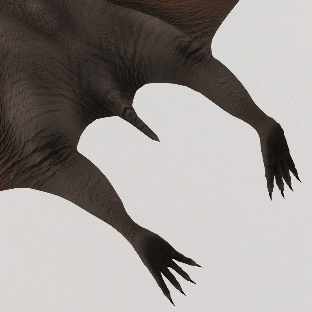 3d model pterosaur static poses