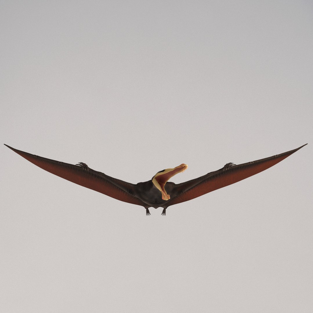 3d model pterosaur static poses