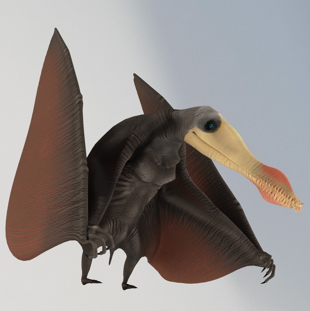 3d model pterosaur static poses