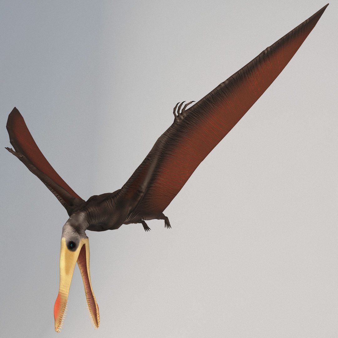 3d model pterosaur static poses