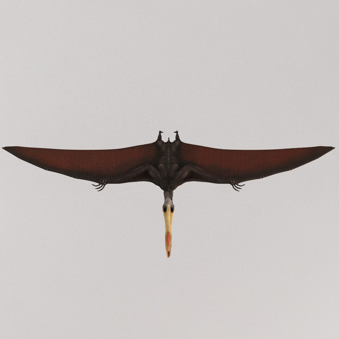 3d model pterosaur static poses