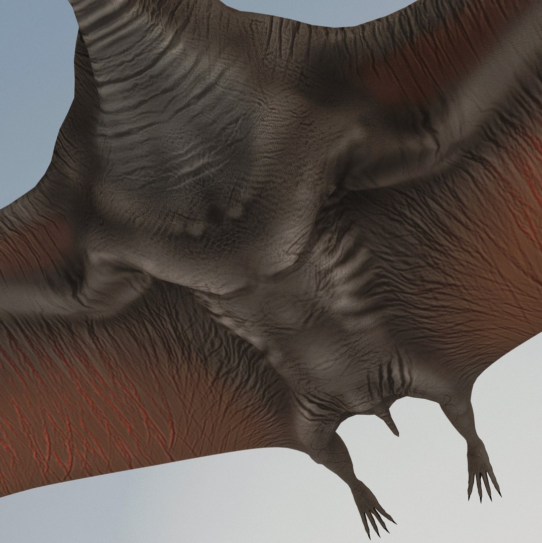 3d model pterosaur static poses
