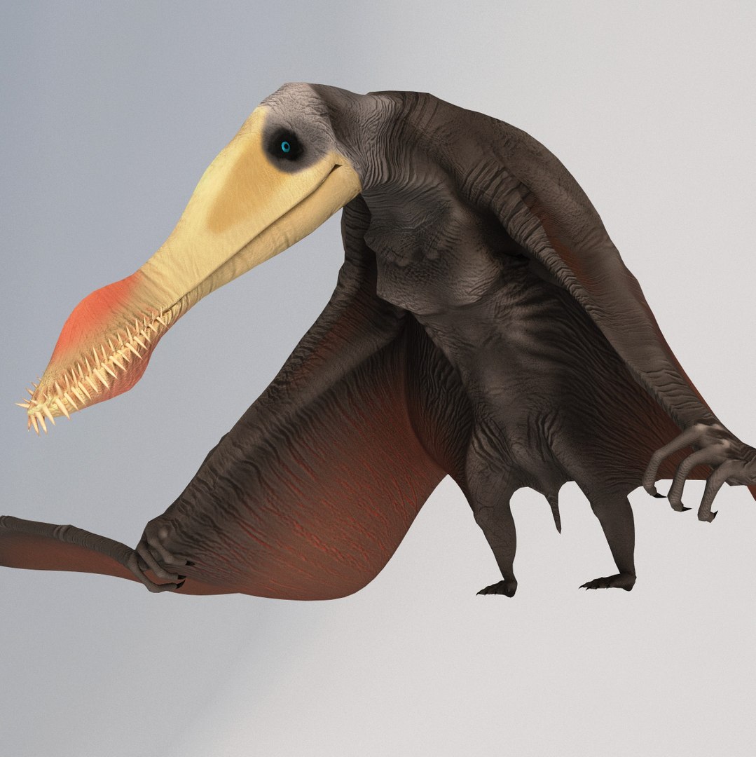 3d model pterosaur static poses