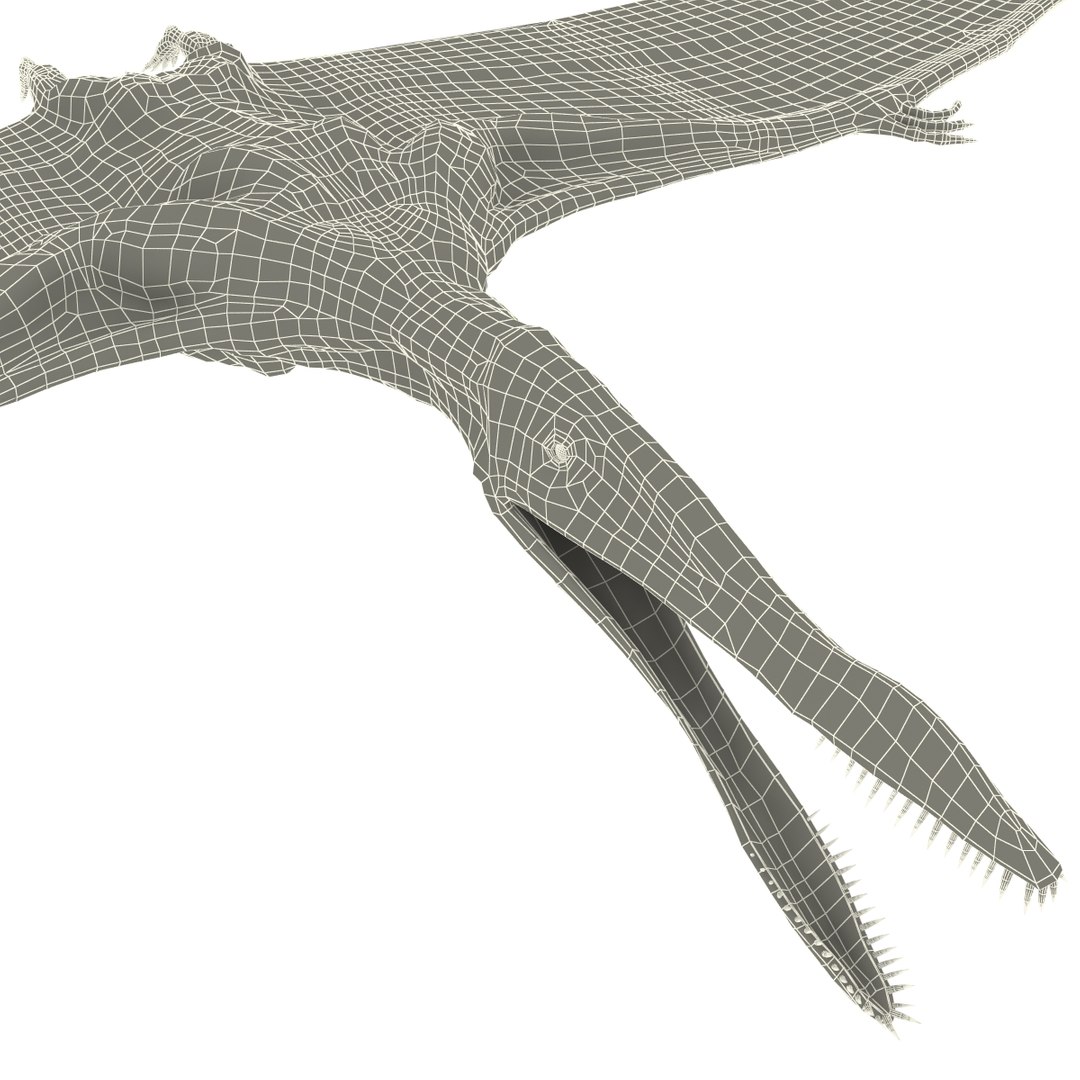3d model pterosaur static poses