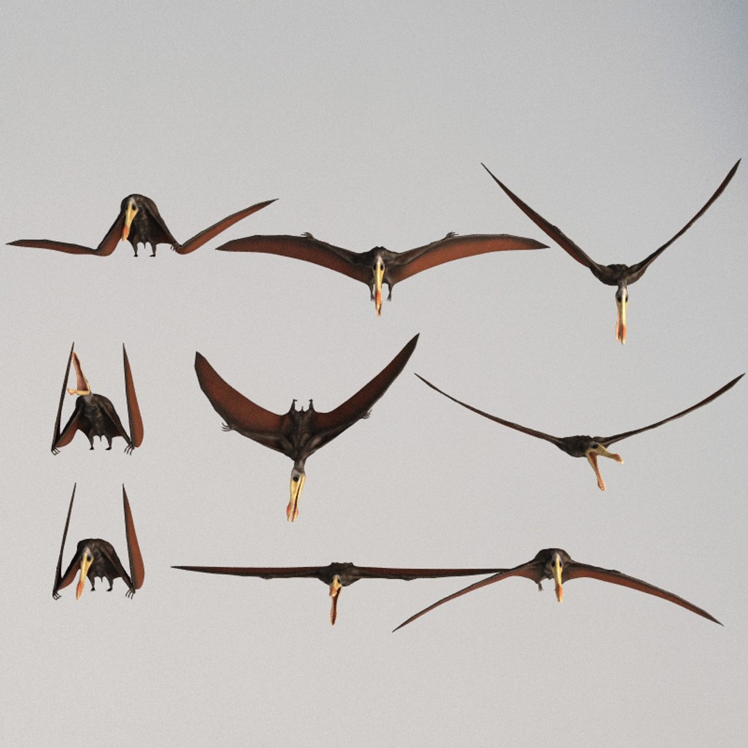 3d model pterosaur static poses