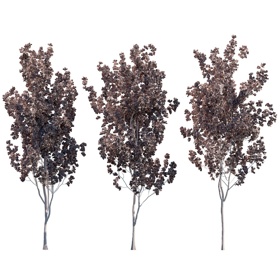 Aspen Trees 3 Models And 2 Materials 3D Model - TurboSquid 1952028
