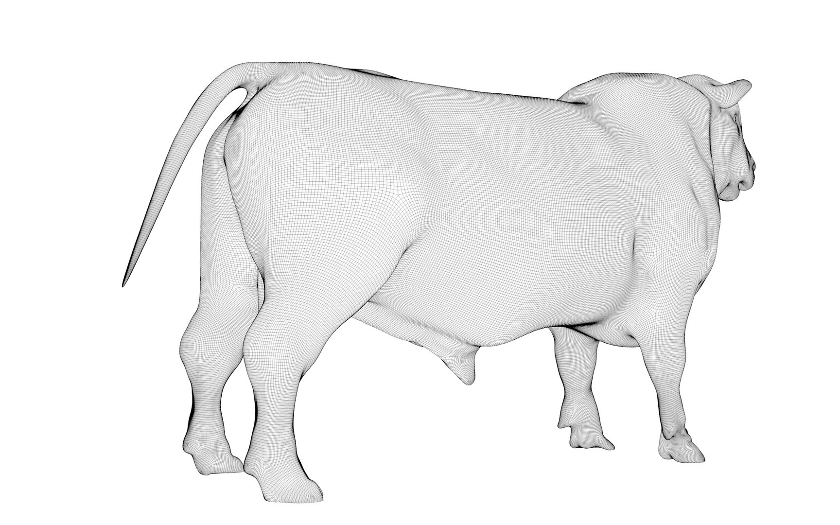 3D model RED ANGUS L2053 - TurboSquid 2153482