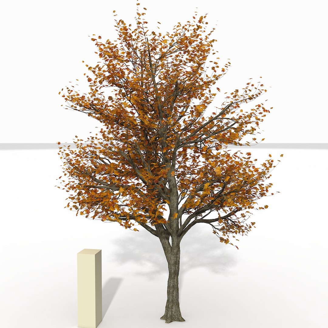 3d plant fall model