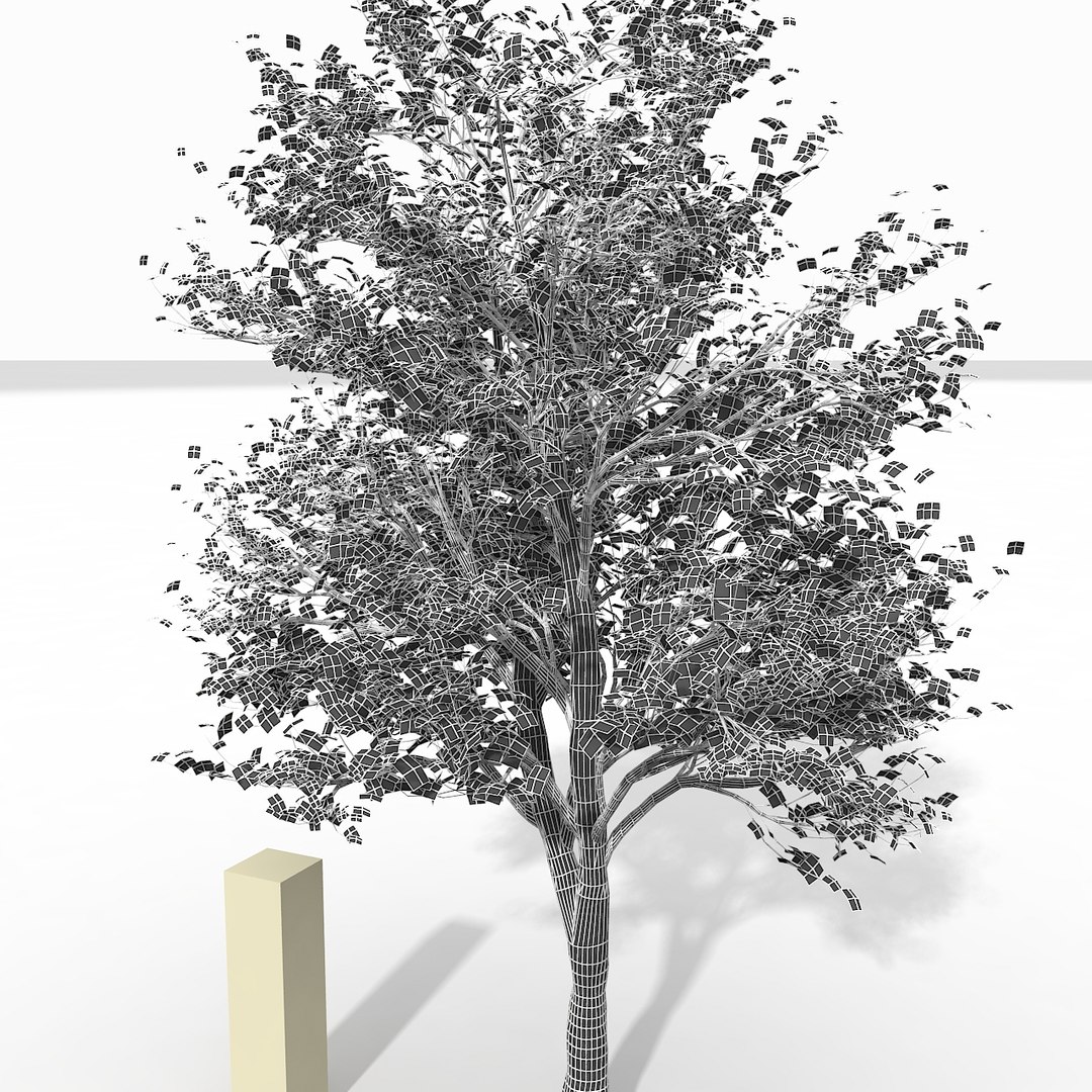 3d plant fall model