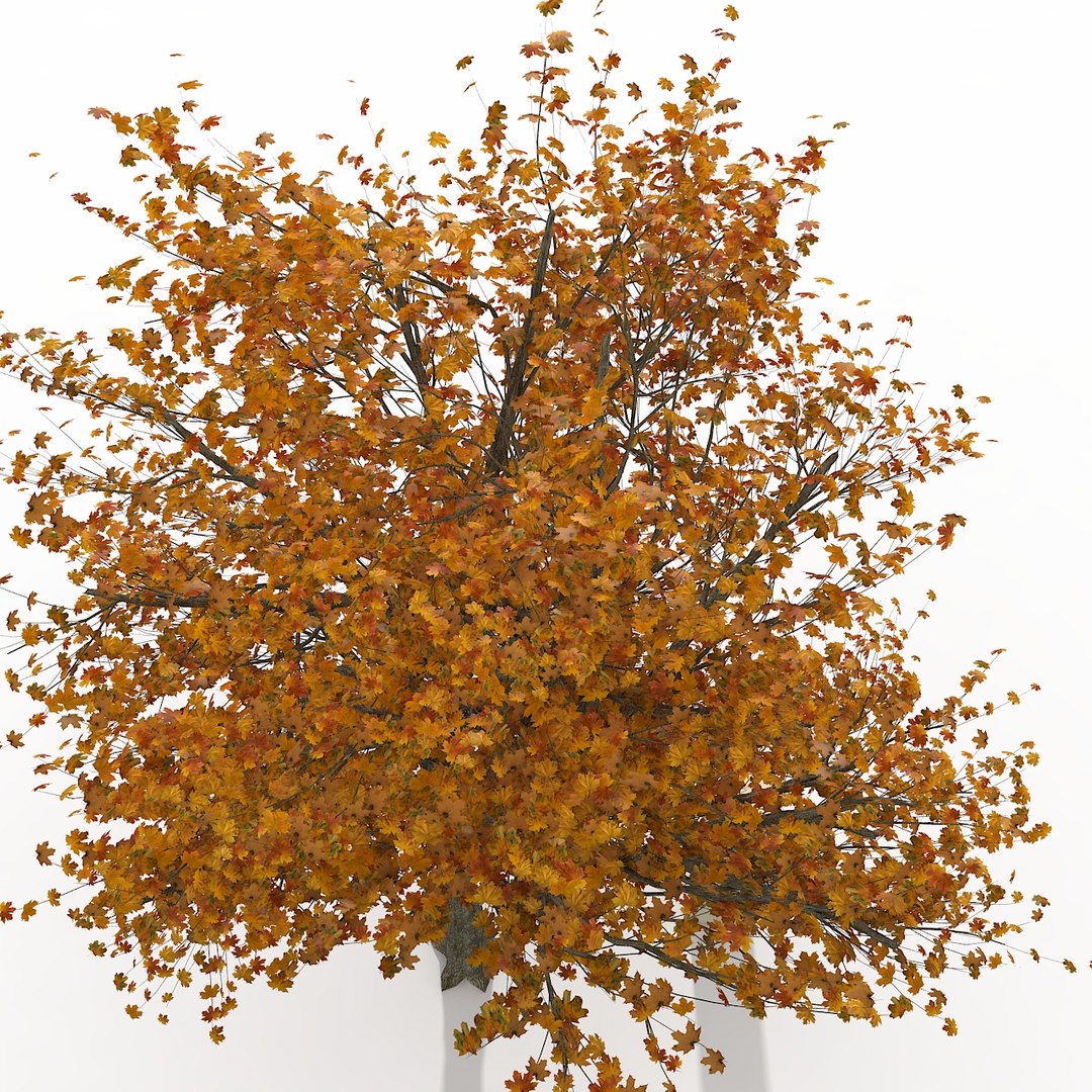 3d plant fall model