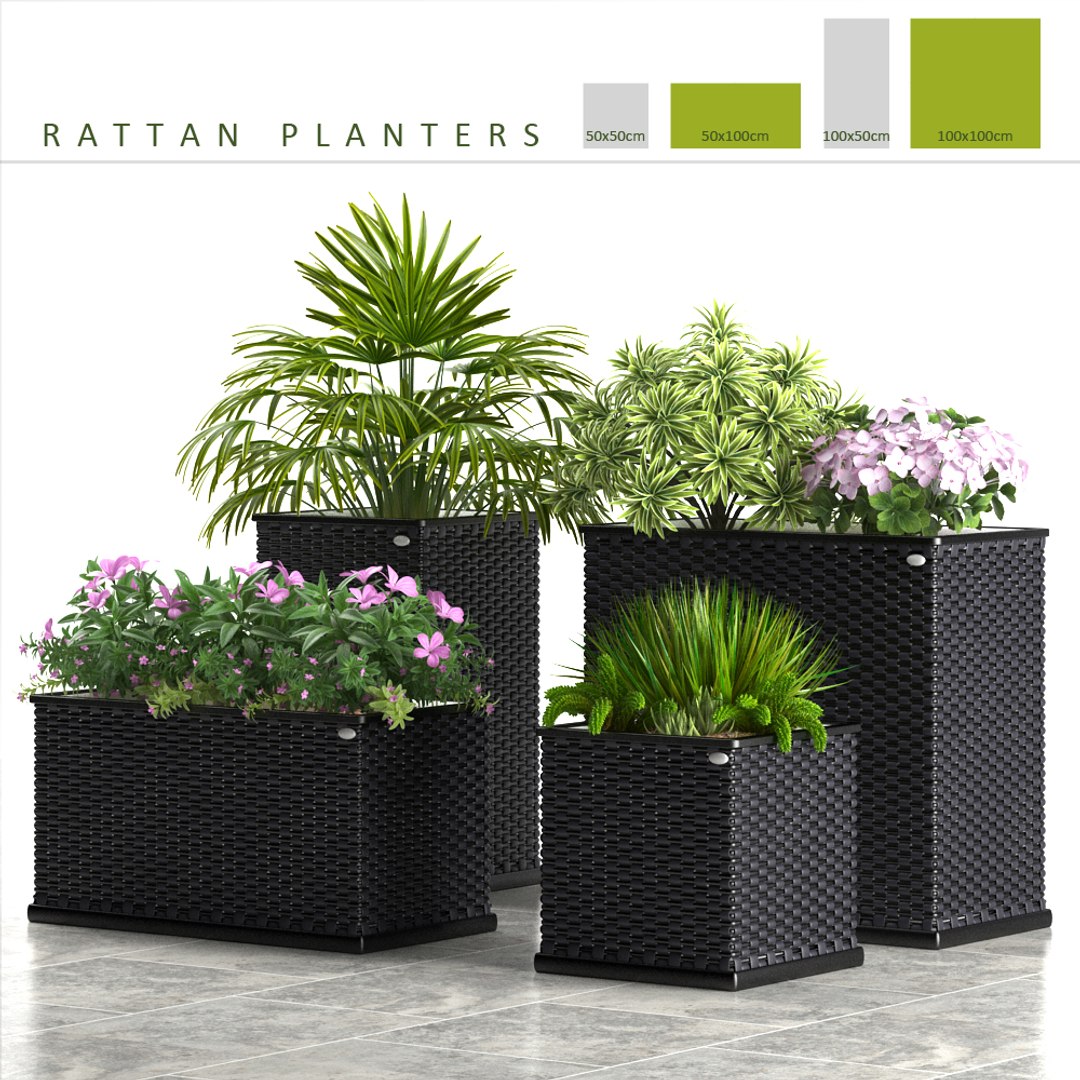 Rattan Planter Box Plants 3d Model