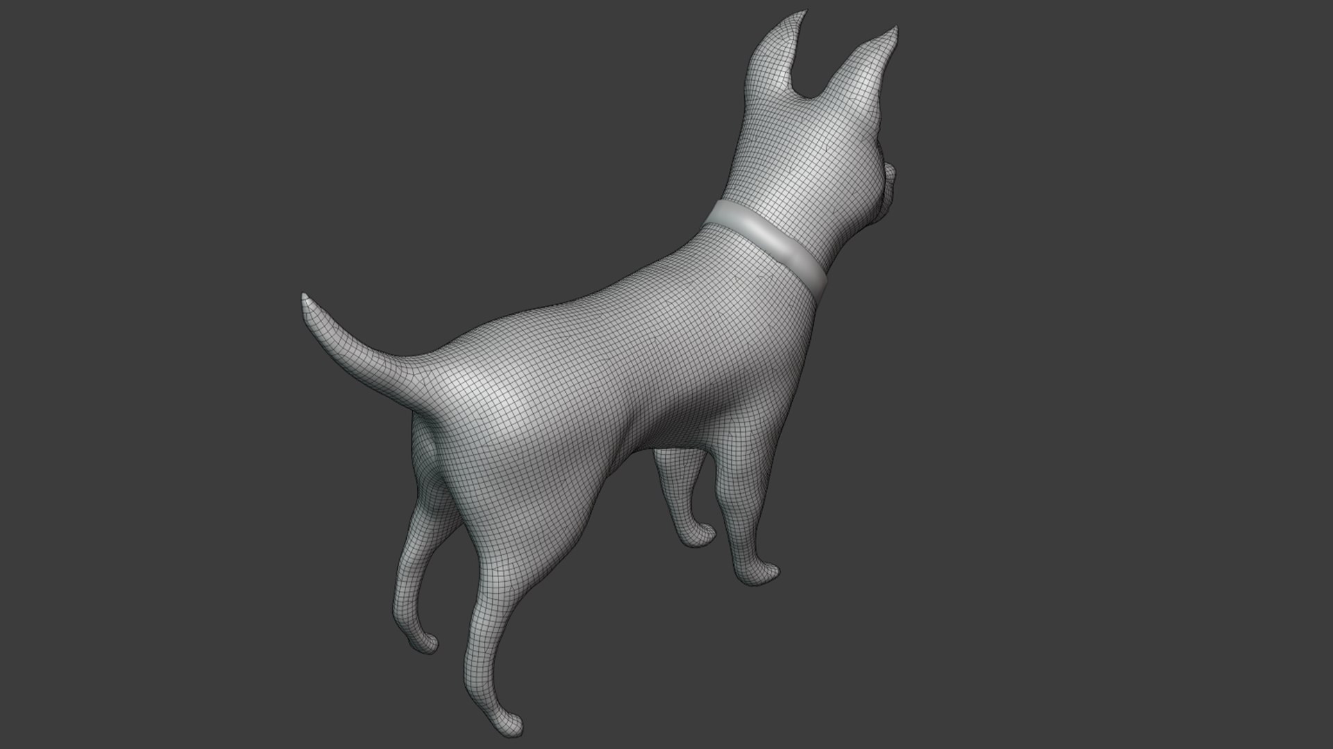 Free White Dog 3D Model - TurboSquid 1845760