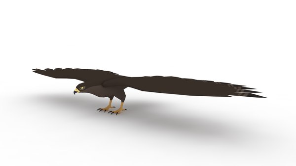 Hawk 3D Models for Download | TurboSquid