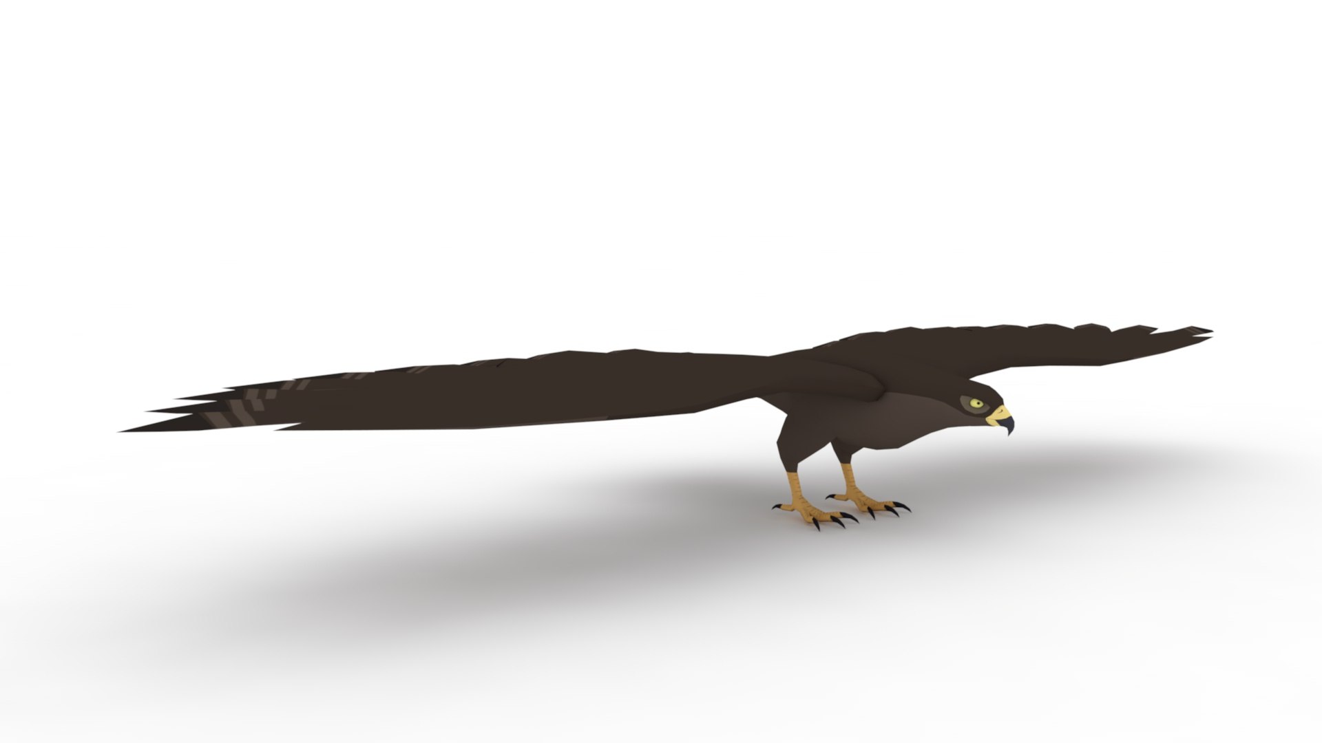 3D Hawk Model - TurboSquid 2251230