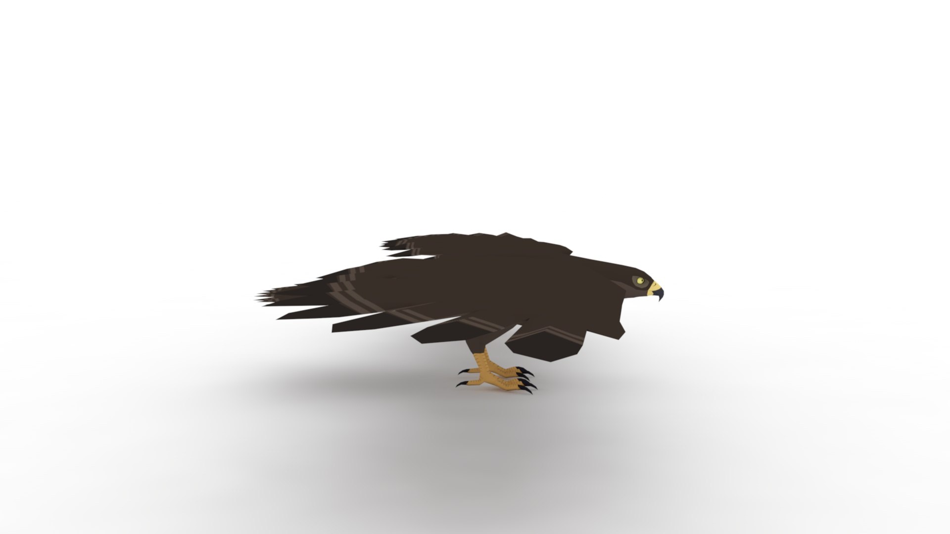 3D Hawk Model - TurboSquid 2251230