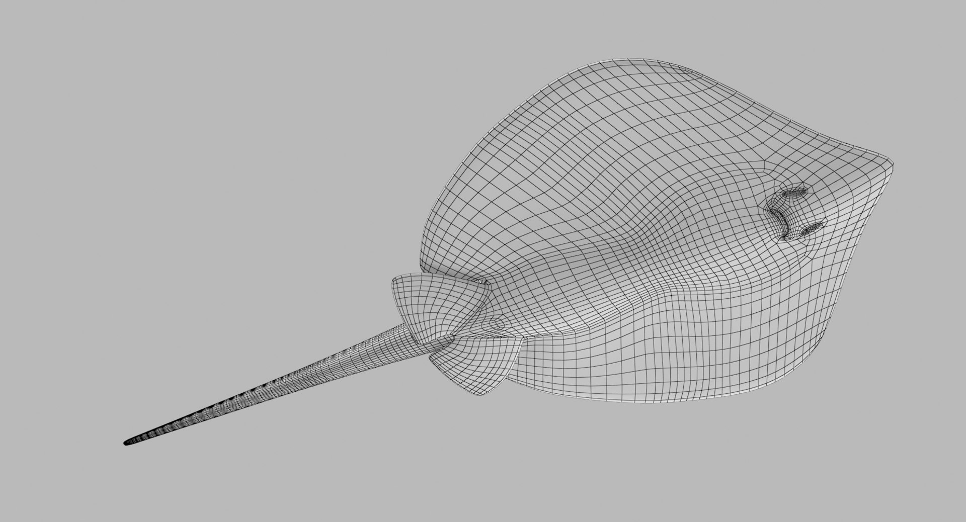 3D Southern Stingray Model - TurboSquid 1419034