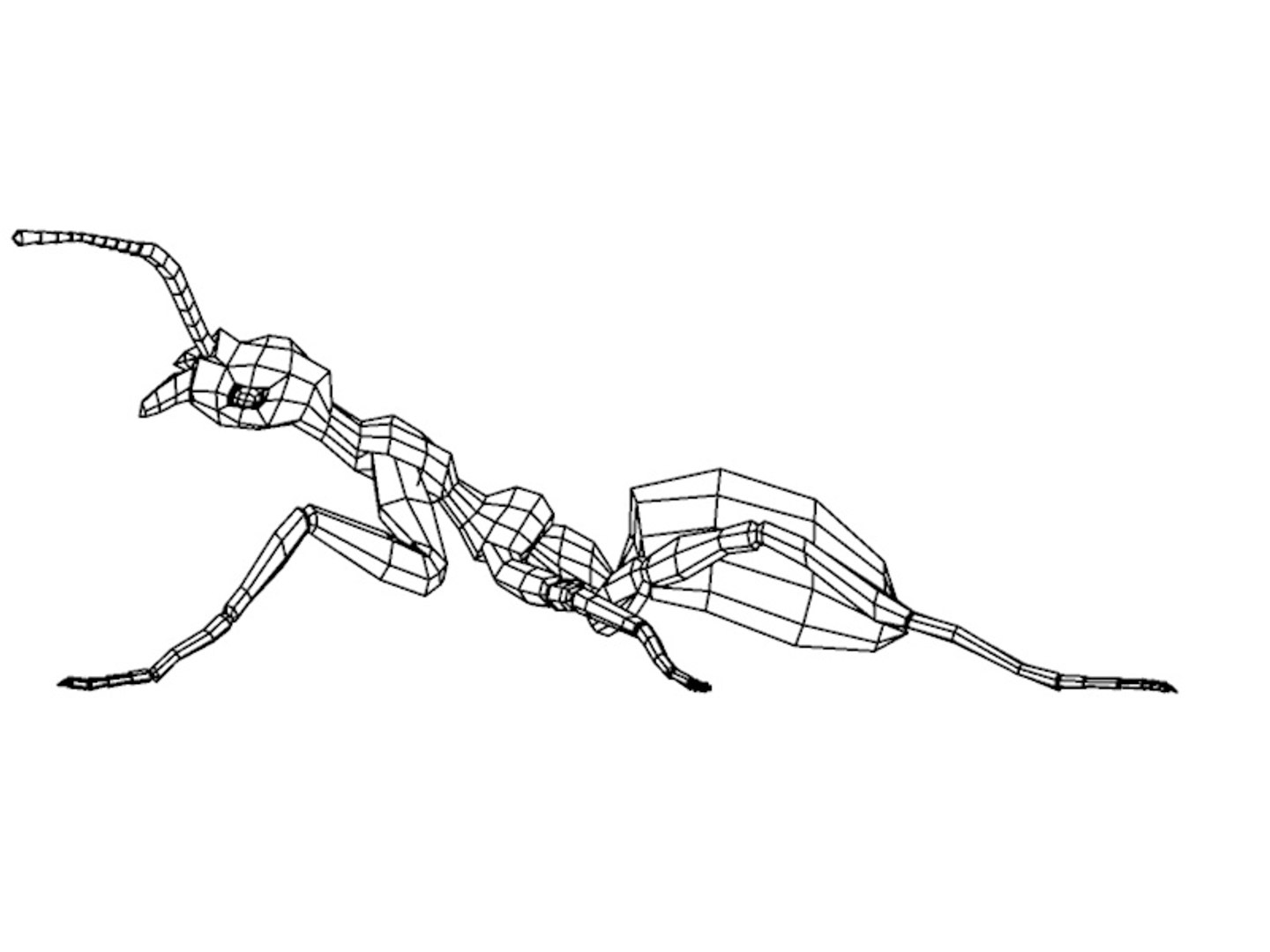 cinema4d ant character dynamic