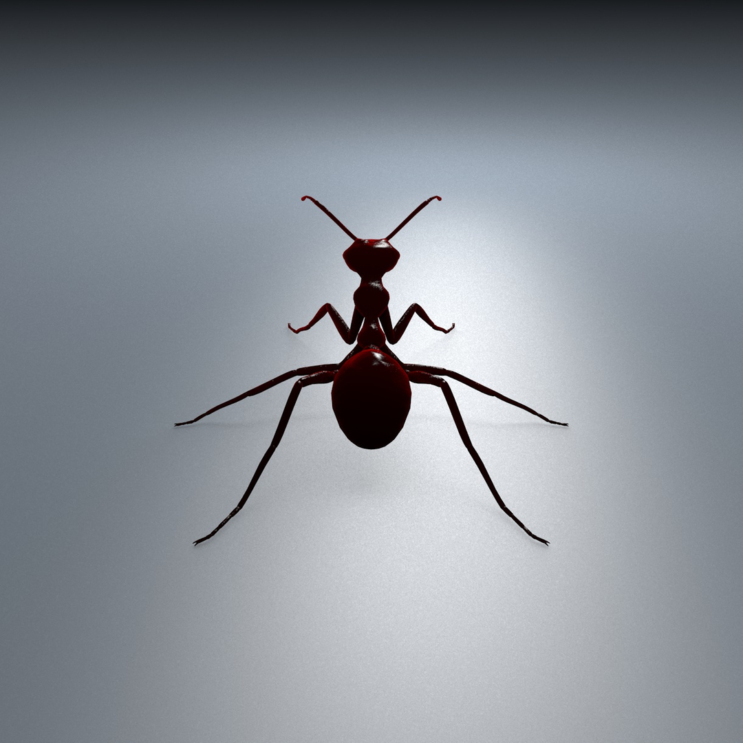 cinema4d ant character dynamic