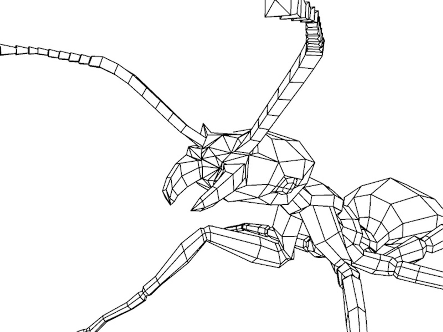 cinema4d ant character dynamic