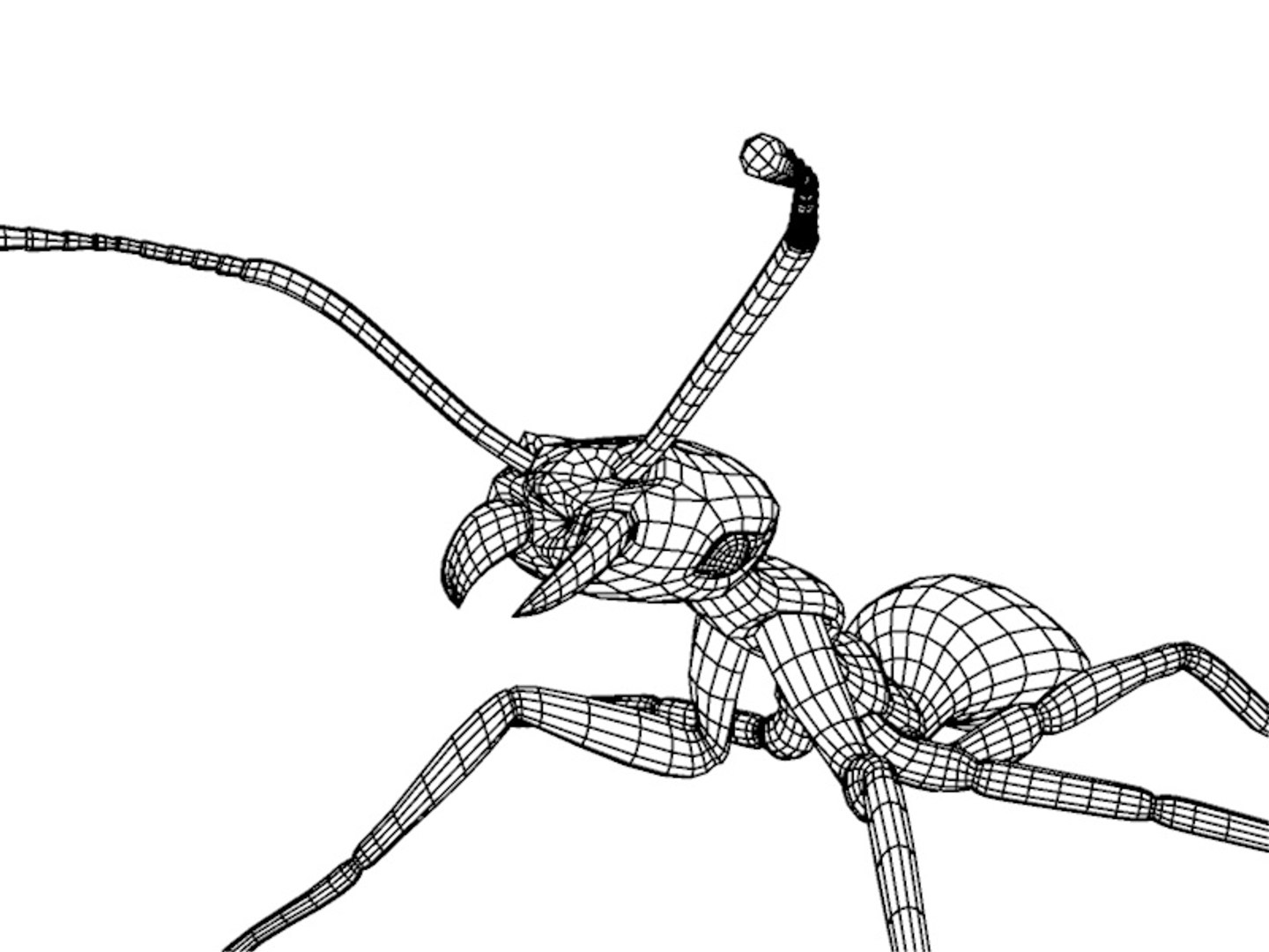 cinema4d ant character dynamic