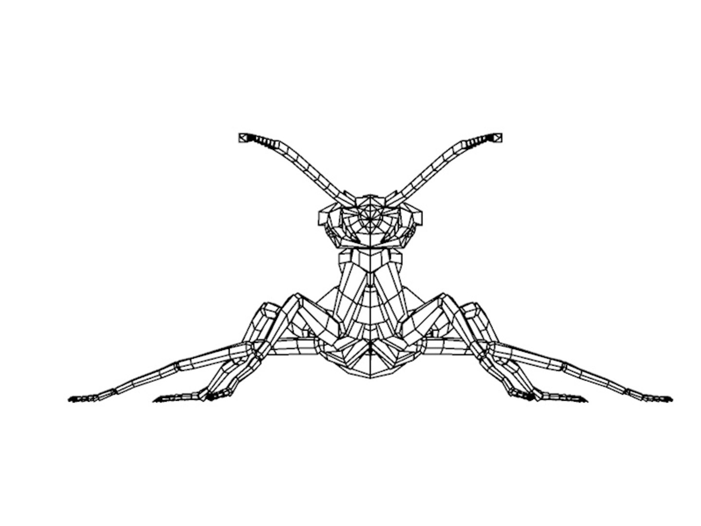 cinema4d ant character dynamic