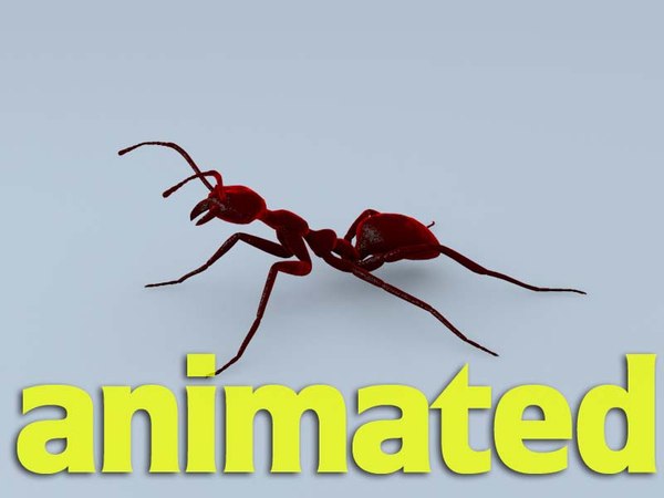 Animated Ant 3D Models for Download | TurboSquid