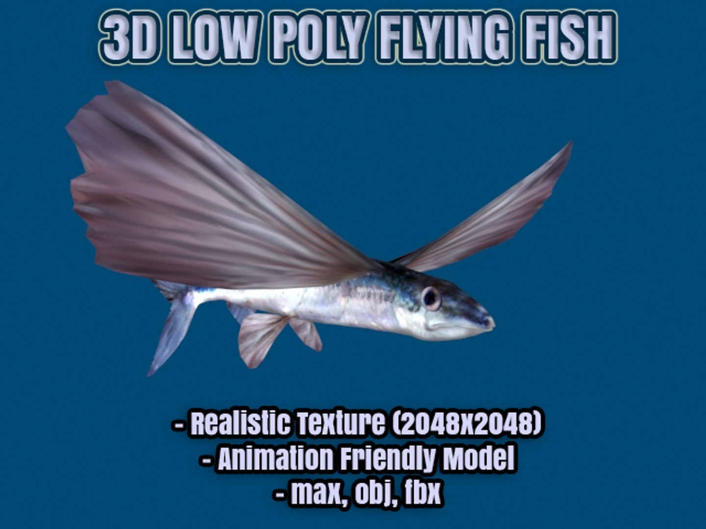 3d Model Flying Fish Realistic