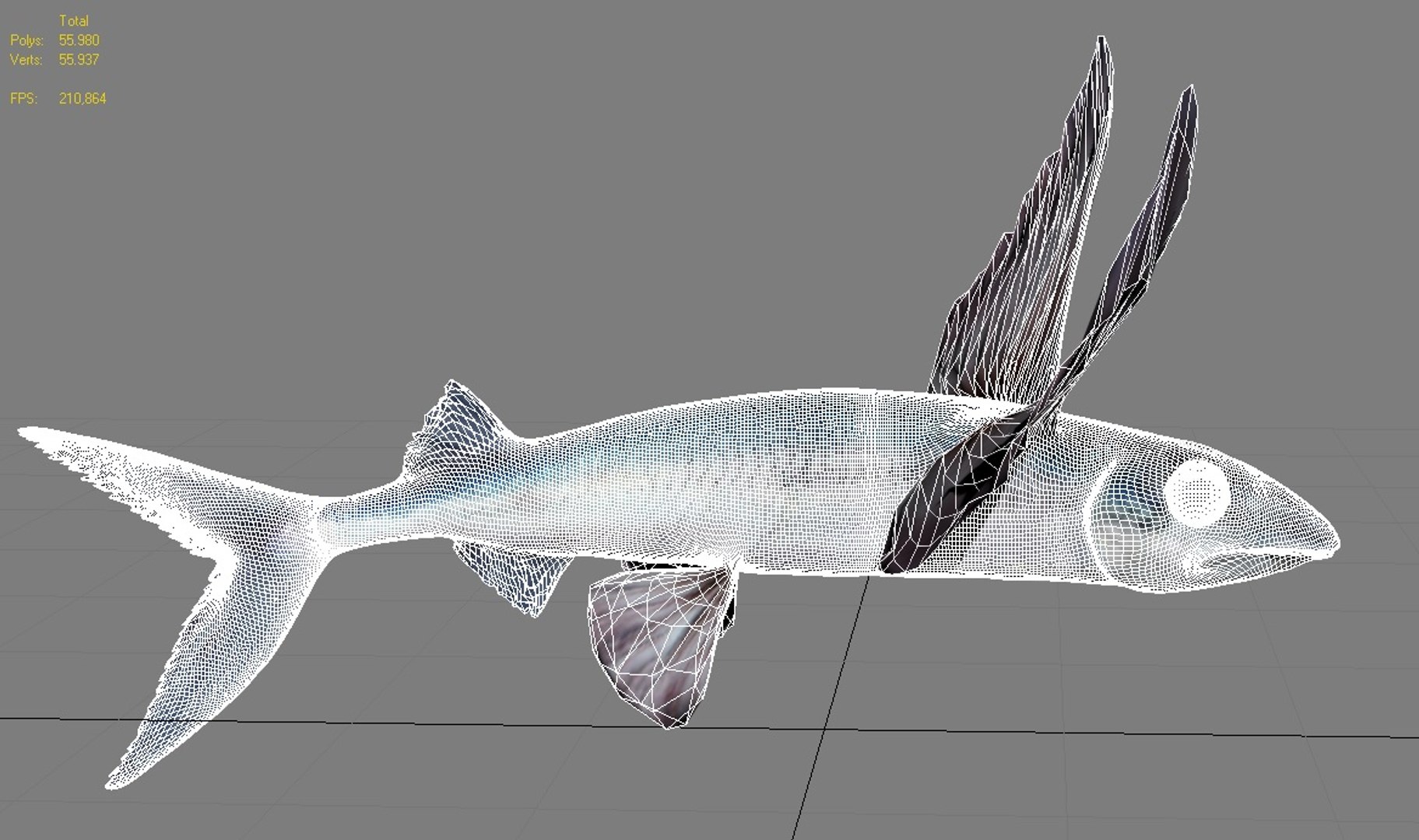 3d Model Flying Fish Realistic