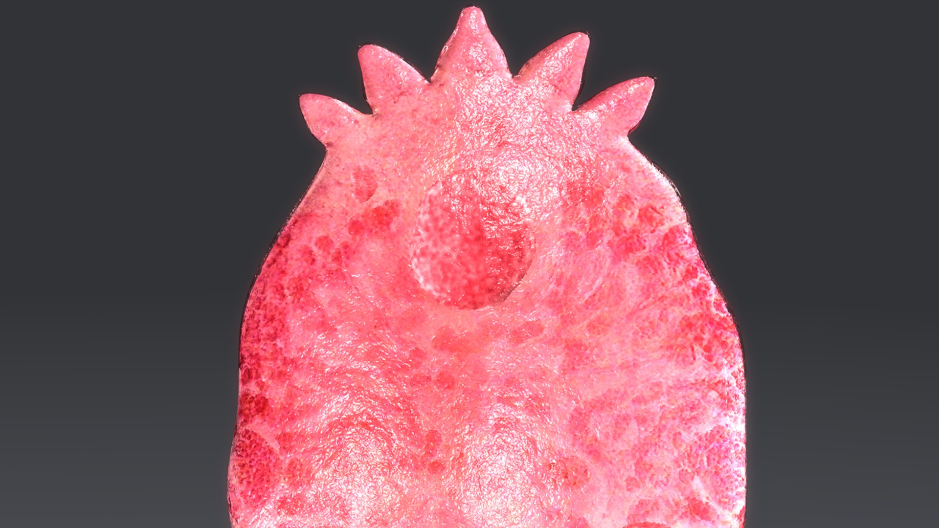 Temnocephala Lamothei Flatworm 3d Model