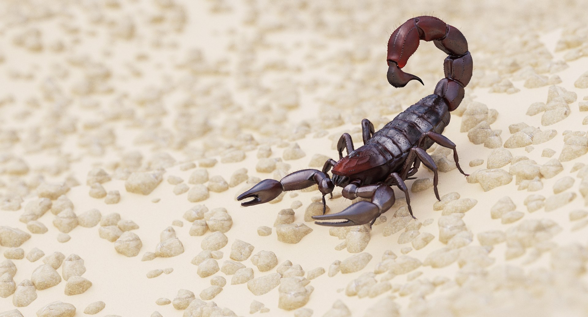 3d model scorpion modeled