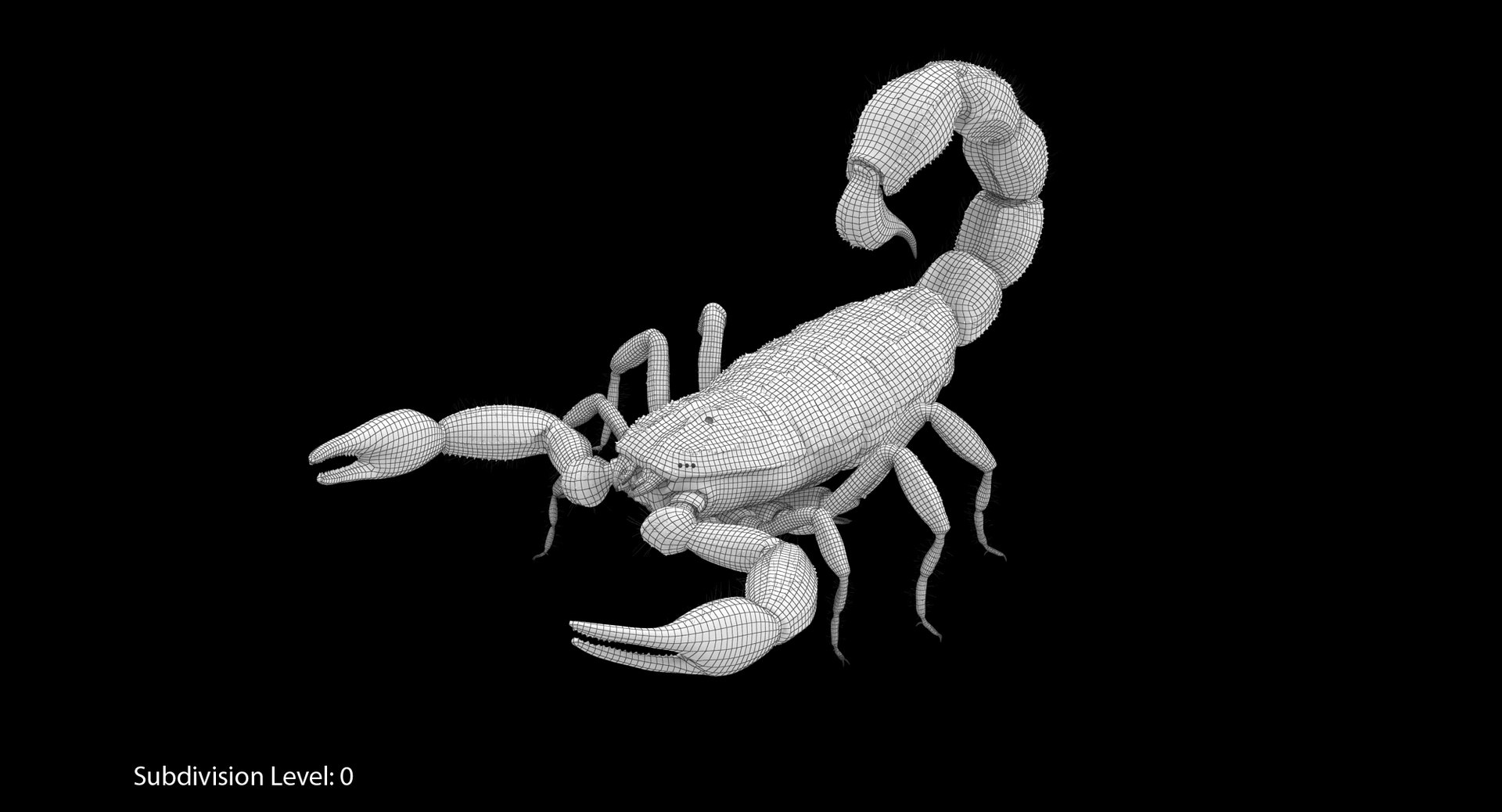 3d model scorpion modeled