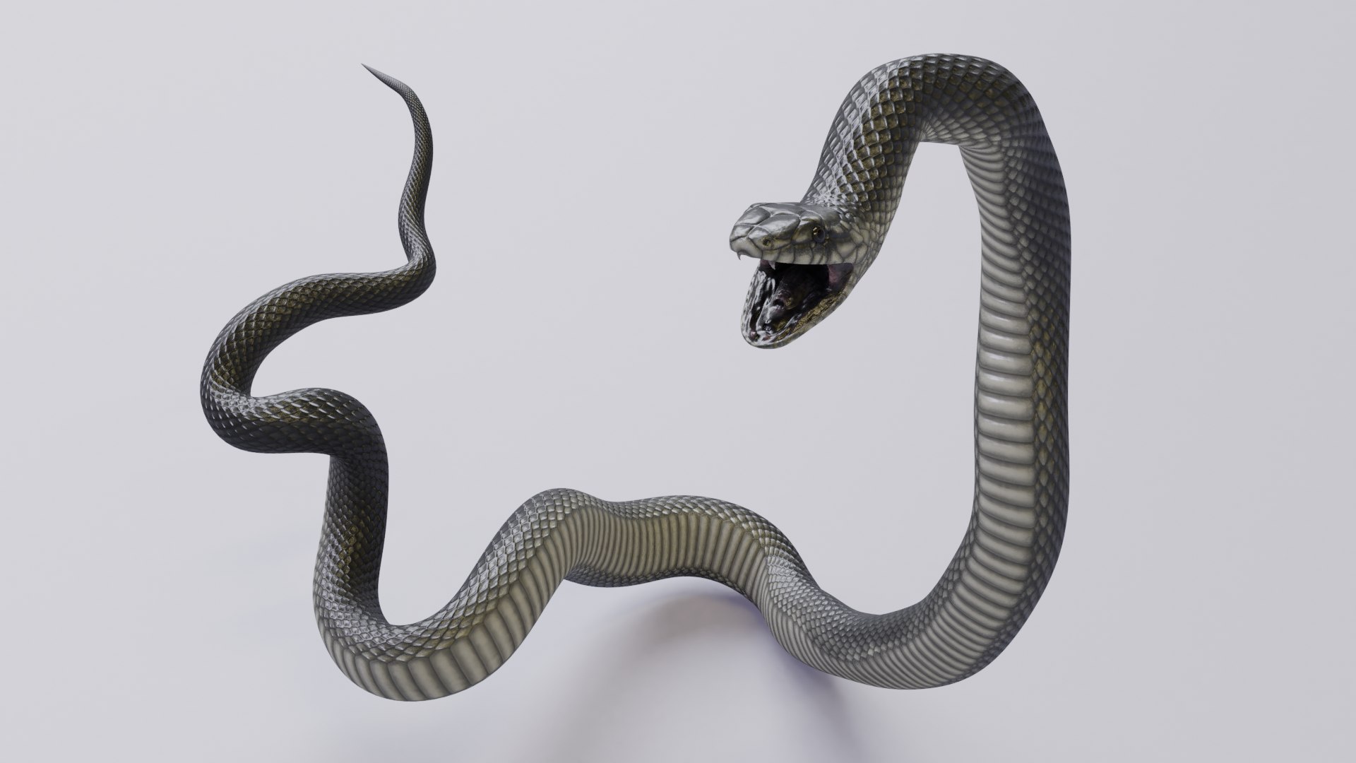 Black Mamba - Rigged 3D Model - TurboSquid 1753339