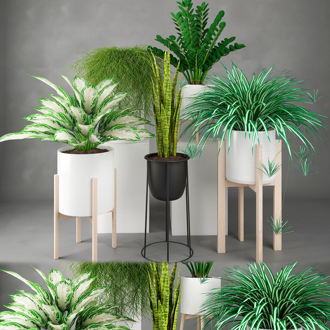 Houseplant 23 3D - TurboSquid 1292336