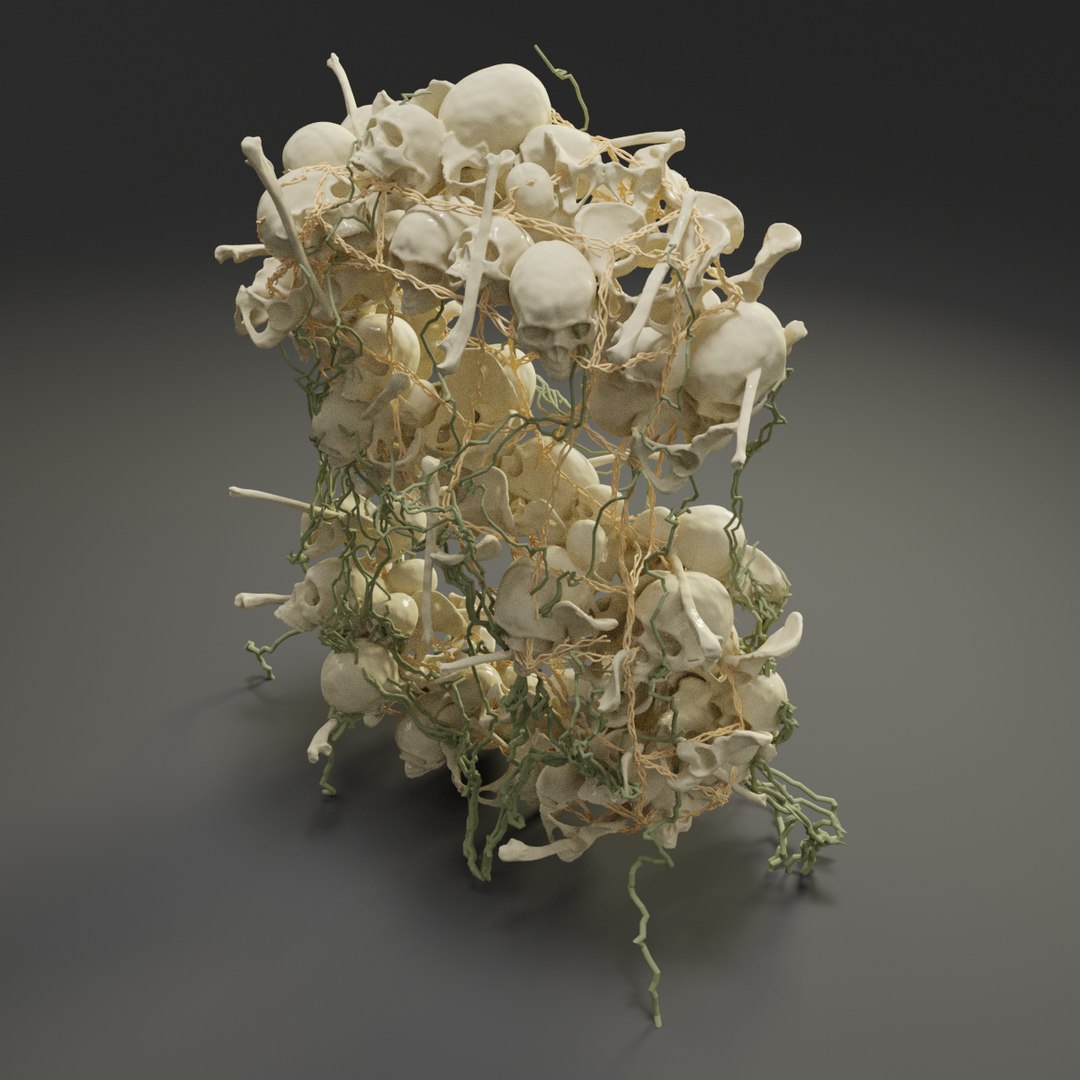 Letter S Bones Skeleton 3D Model - TurboSquid 1546274