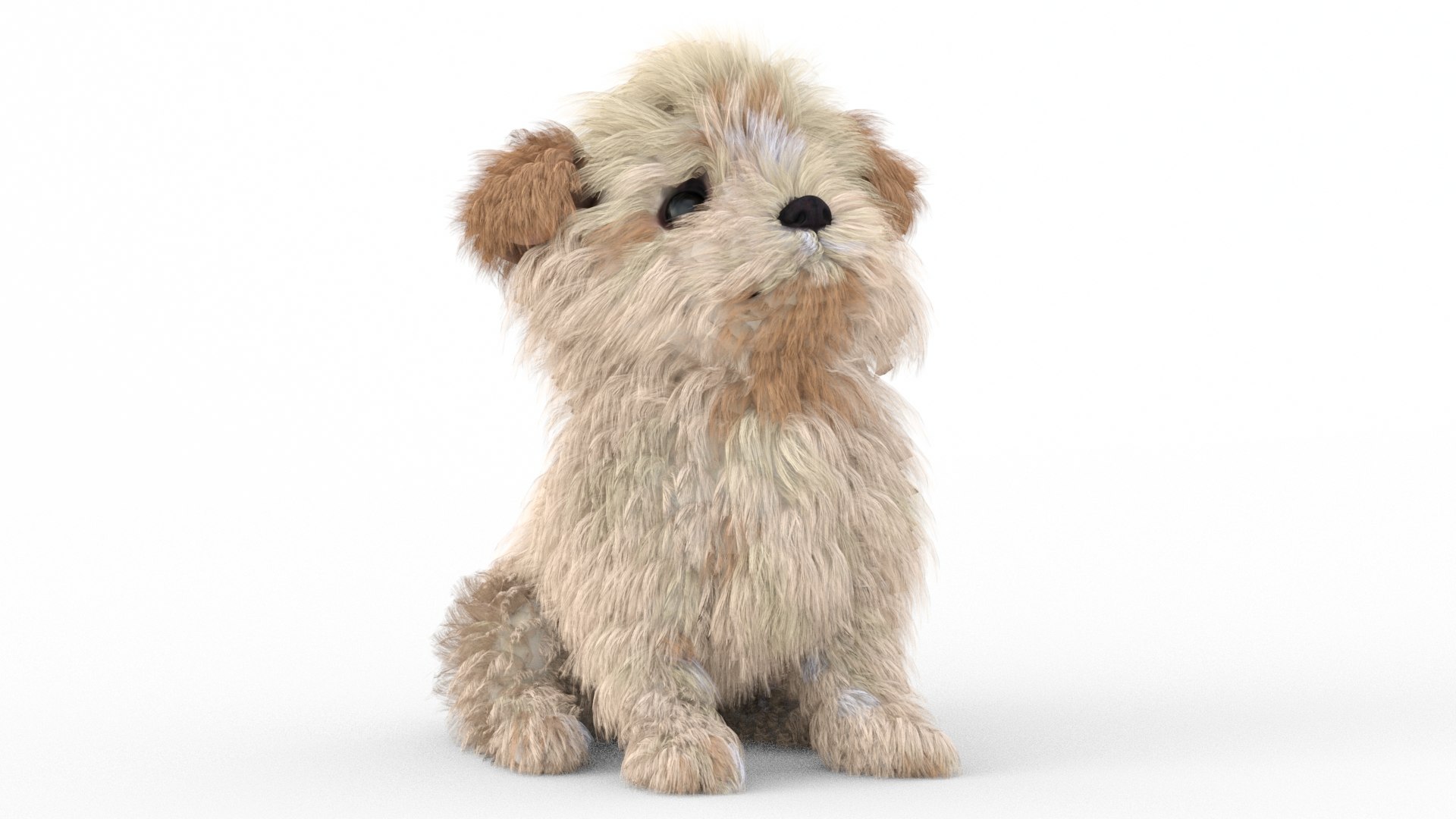 3D Maltipoo Dog Puppy Animated Polygonal Fur Model - TurboSquid 2044069