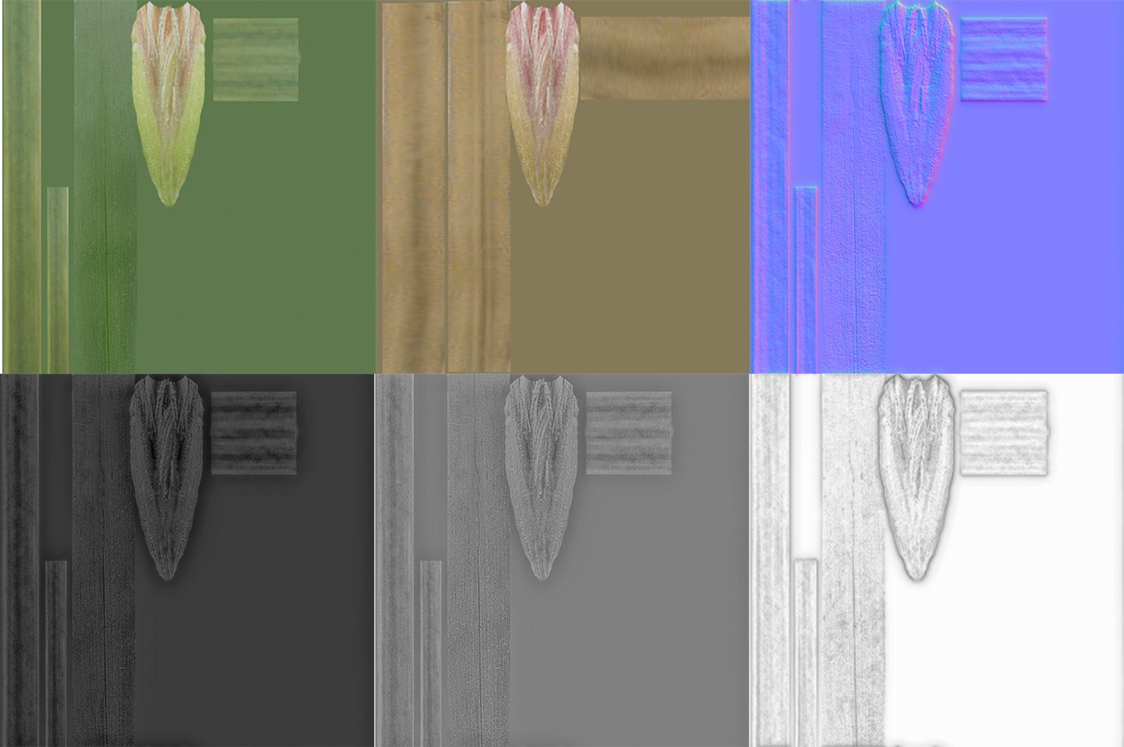 3D Grass Blade - TurboSquid 1238983